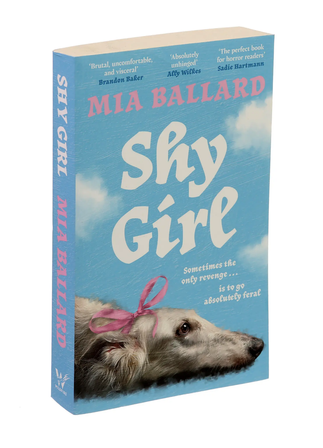 How to avoid AI disasters like "Shy Girl" - Josh Bernoff